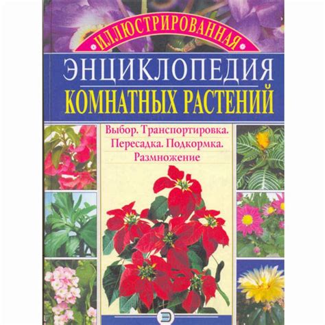 Энциклопедия комнатных растений
