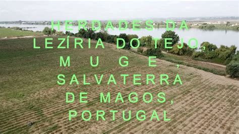 Penhora de Quintas e Herdades Otimização e Confiabilidade