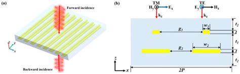 A Schematic Illustration Of The Polarization Selective Bidirectional Download Scientific