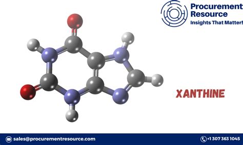Unlocking Insights With Xanthine Production Cost Reports Your