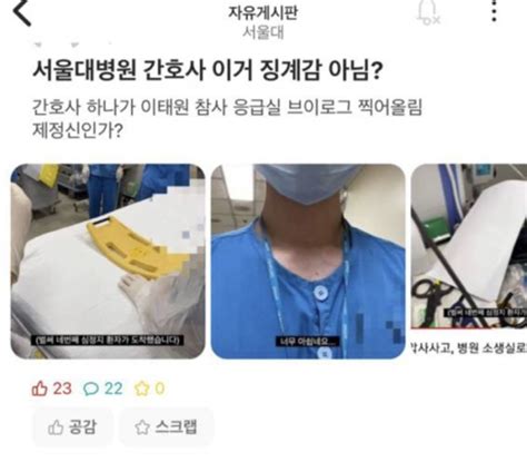 서울대병원 간호사 이태원 참사 브이로그 Mlbpark