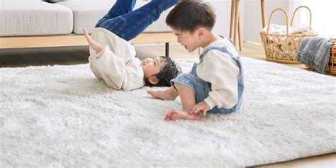 Sofuraファブリック特集 ワイエムワールド本店