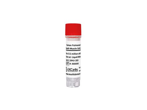 Human Pulmonary Artery Smooth Muscle Cells Hpasmc Ixcells