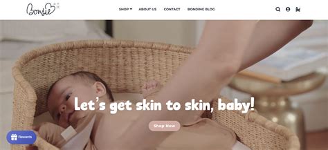Stunning Wix Website Examples Forbes Advisor