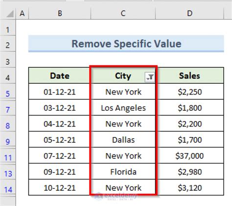 Excel Vba To Filter In Same Column By Multiple Criteria 6 Examples