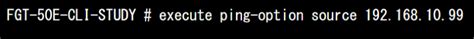 FortiGate Pingコマンドを利用する てこエンジニアブログ