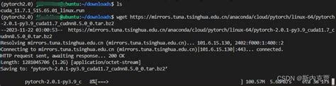 手把手教你在linux上安装pytorch与cudalinux斯内克贾 Gitcode 开源社区