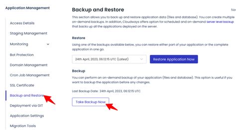 Guidelines And Video Lesson For Cloudways Backup And Restore