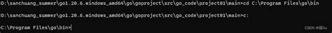 go语言开发环境的搭建 安装和配置sdk go sdk csdn博客