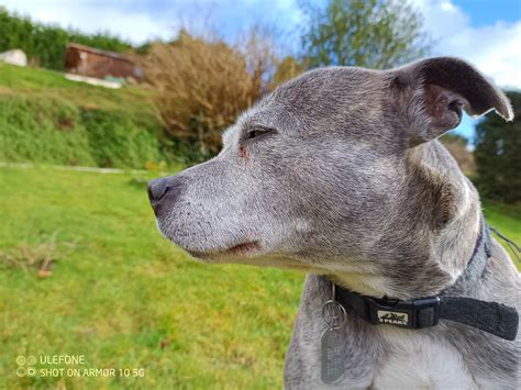 Ulefone Armor Is This The Rugged G Phone You Ve Been Looking For