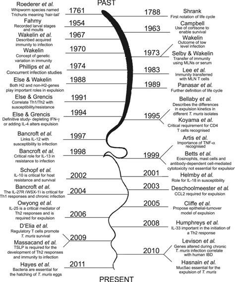 Milestones In T Muris Research The Timeline Shows An Overview Of Some Download Scientific