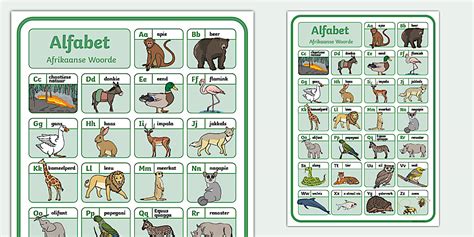 Afrikaanse Diere Alfabet Afrikaans Alphabet Words Twinkl