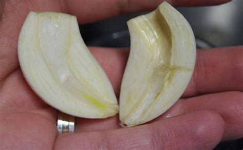 დღესვე დაჭერით ნიორი ნივრის გულებით მომზადებულ ნაყენს უკვდავების ელექსირს უწოდებენ