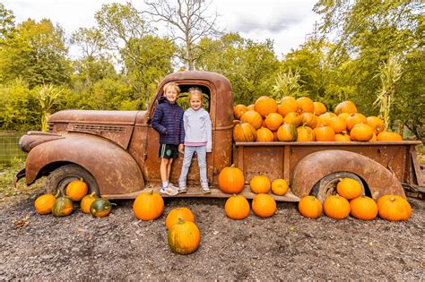 Best Pumpkin Patches In England 2025 Top Places To Go Pumpkin Picking