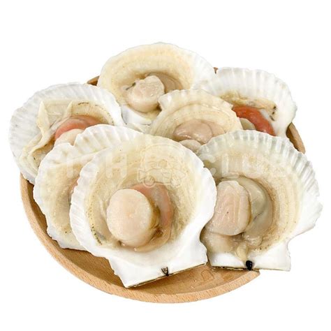 Half Shell Scallops Fish Club