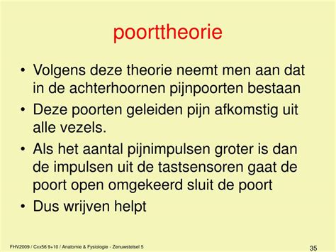 Ppt Anatomie Fysiologie Powerpoint Presentation Free Download Id