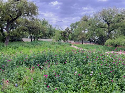 John Hart Asher On Linkedin Our Newest Pocket Prairie Is Starting Its