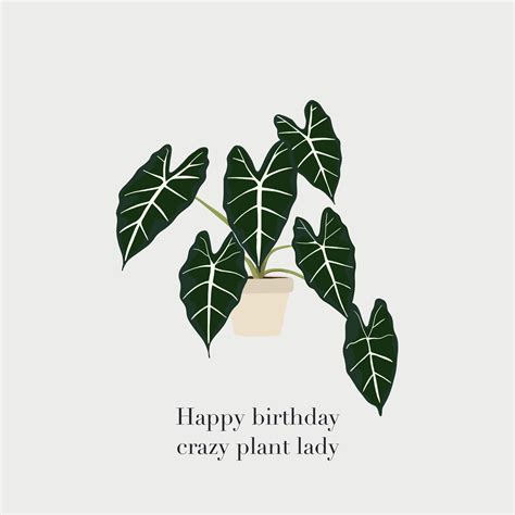 Crazy Plant Lady Birthday Card Boomf