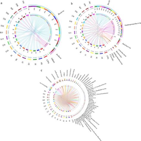 Circos String Diagram Of The Correlation Between Microbial Samples And