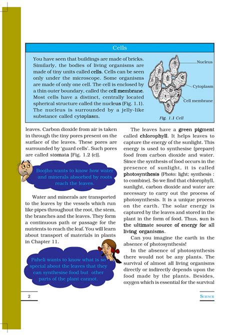 Chapter 1 Nutrition In Plants Notes Class 7