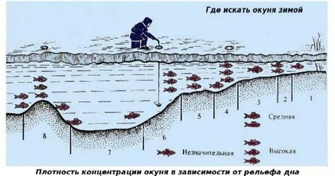 Снасть для окуня зимой: удочки, приманки и способы ловли