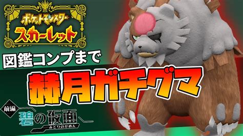 🔴ライブ3【ポケモンsv碧の仮面】赫月ガチグマ入手と図鑑コンプまで！ Youtube