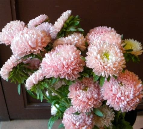 札幌のフラワーショップ月花 T S U K I K A アスターマッシュサーモン