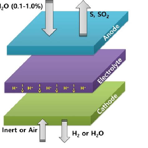 Schematic Representation Of H S Decomposition In An Electrochemical Download Scientific