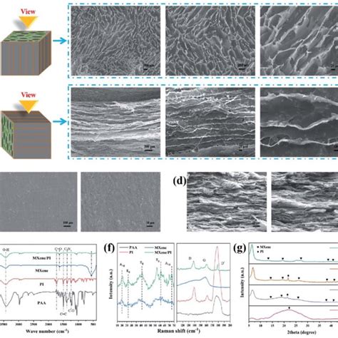 Morphology And Structural Characterization Of Mxene Pi Paa Mxene Paa Download Scientific