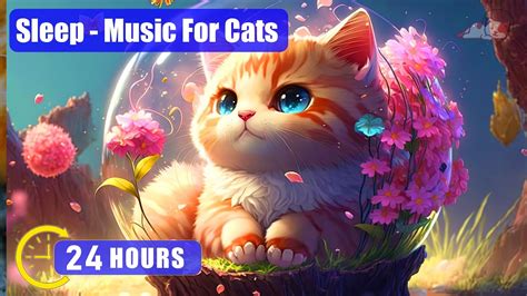Music For Cat Nervious Music For Stressed And Anxious😺 Cat Deep Sleep