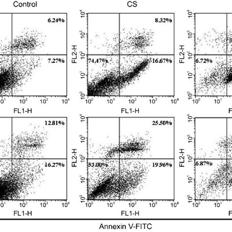Apoptotic Death Of Ht 29 Cells To Cs Or Ps For 24 Or 48 H Download