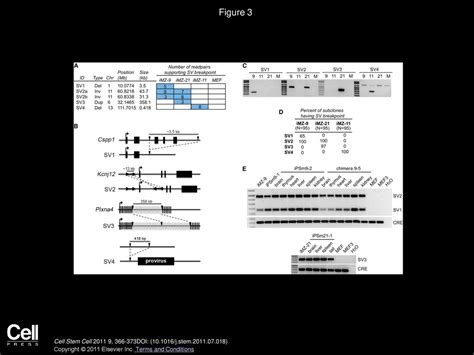 Volume 9 Issue 4 Pages October 2011 Ppt Download