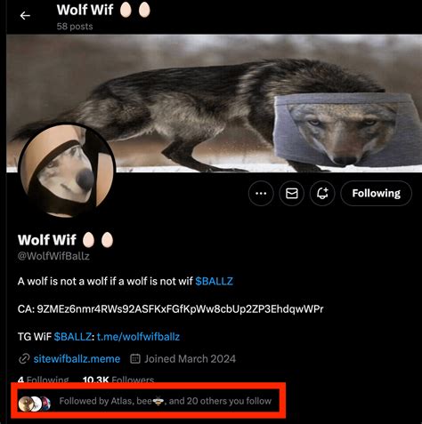 This Crypto Wallet Went From 11 To 53k In Just 1 Day 5000x Was Made