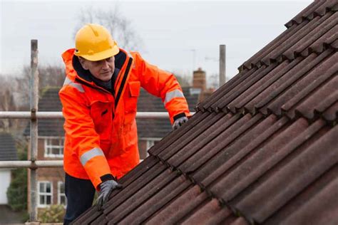 5 Common Roof Problems Homeowners Should Watch Out For Lisa S Notebook