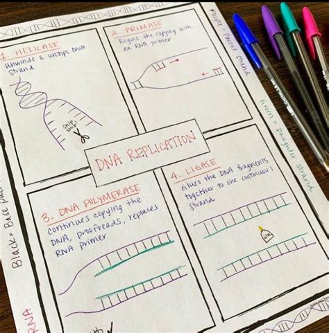 20 One Pager Examples Advice For Using Them In Class One Pager Pagers One Pager Design