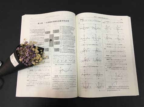 现货包邮中科大高中数学经典题型全解析数列与导数王怀学宋卫东中国科学技术大学出版社高中数学提分王虎窝淘