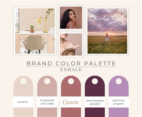 Beauty Brand Color Palette Hex Codes Branding Board Color Scheme Shades Of Nudes Blush And