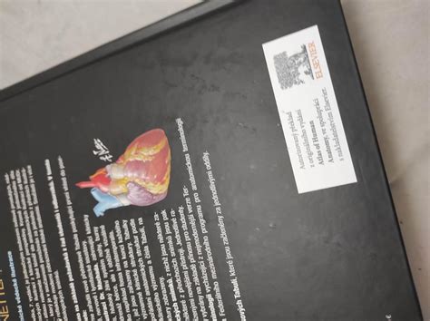Kniha Netterův Anatomický Atlas člověka Aukro