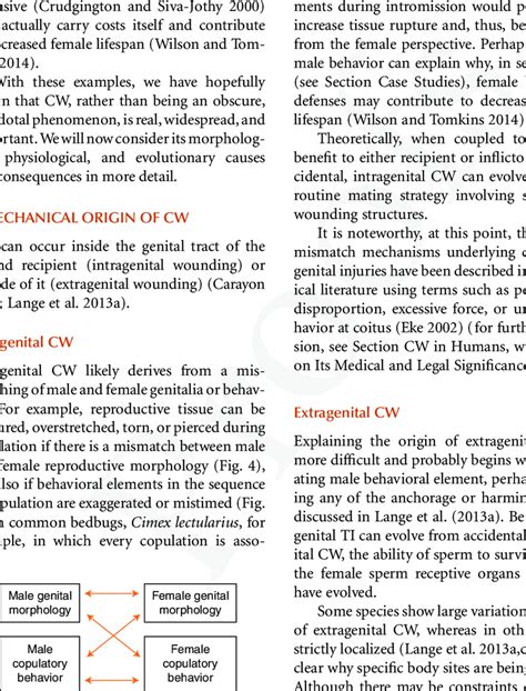 A Scheme Of Mismatches Leading To CW During Copulation Any Mismatch Download Scientific