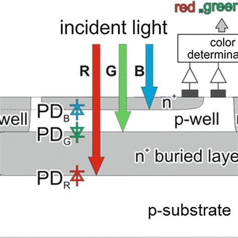 Crosscut Vertical RGB Color Sensor 16 Download Scientific Diagram