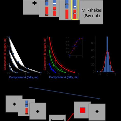 Experimental Procedure And Behavior Download Scientific Diagram