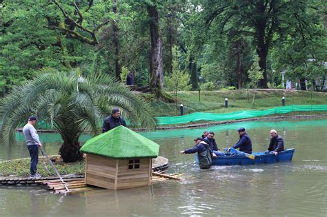 ზუგდი ზუგდიდის ბოტანიკური ბაღი Zugdidi Botanical Garden