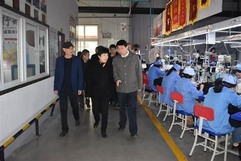 肖超英赴望江县调研“四带一自”特色种养业提升工程发展产业农业