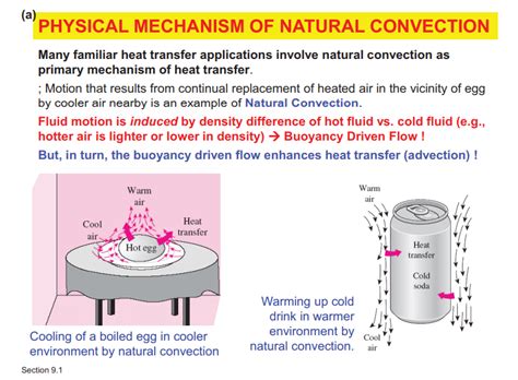 Momentum Balance For Natural Convection Flow