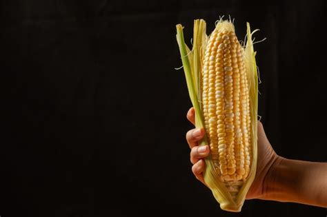 Free Photo The Hand Of The Corn