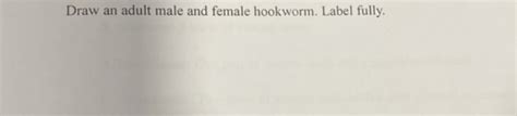 Draw An Adult Male And Female Hookworm Label Studyx