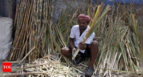 India Appeals Against Wto Ruling On Sugar Times Of India