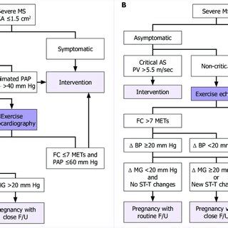 Protocols For Preconception Consultation Using Treadmill Exercise Download Scientific Diagram