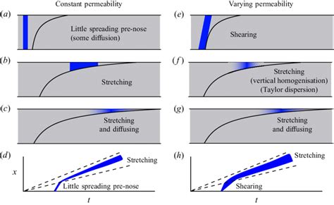 Schematics Of The Regimes For The Migration Of Tracer In A Growing Download Scientific Diagram