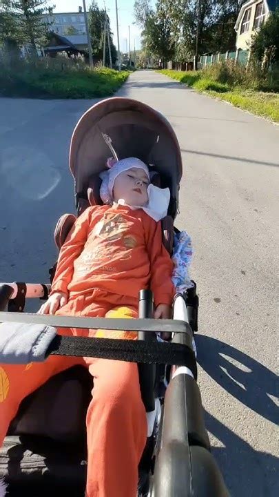 нужно успевать гулять последние прогулки в этом году пока погода